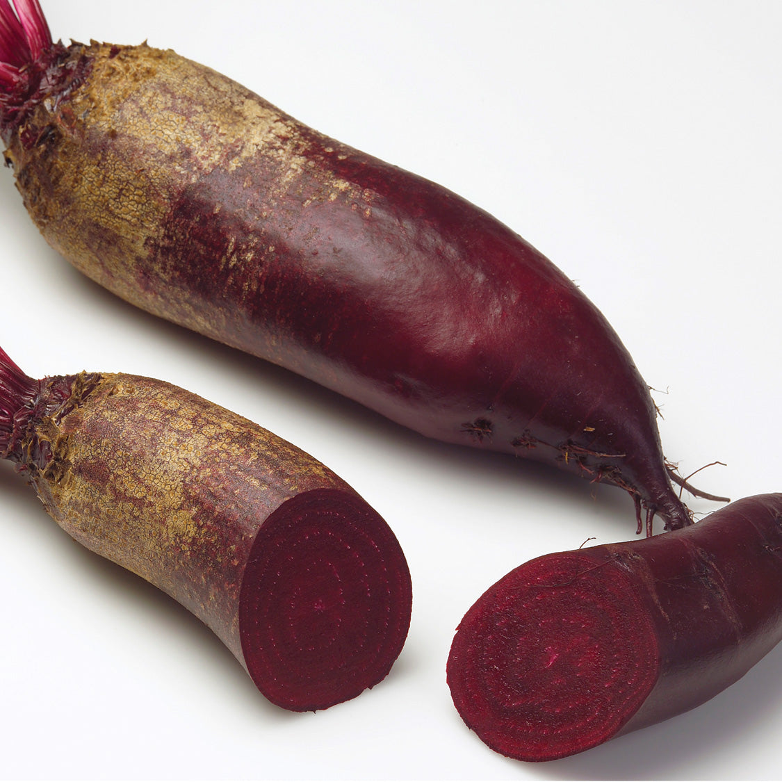 Carillon Cylindrical Type Beet Seeds – Commercial Grade | Stokes Seeds ...