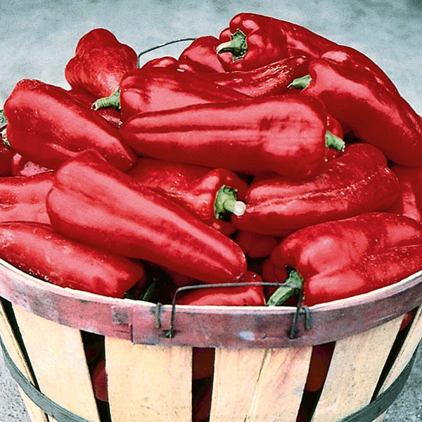 Super Shepherd Sweet Pepper – Stokes Seeds, Limited