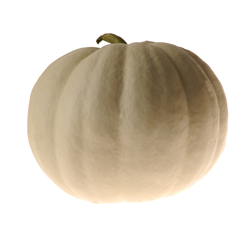 Lumina Pumpkin Seeds – Commercial Grade | Stokes Seeds – Stokes Seeds ...