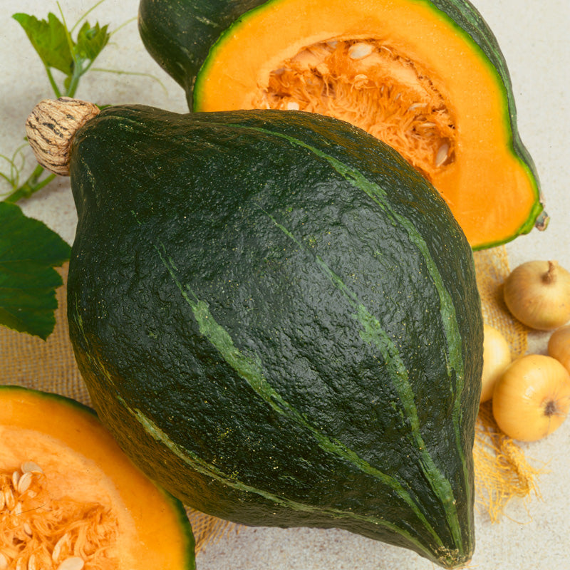 Mini Green Hubbard Untreated Squash – Stokes Seeds, Limited